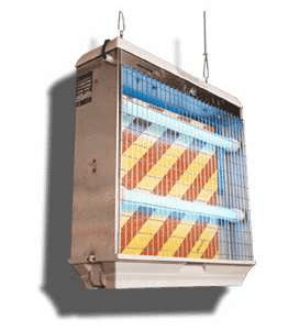 Insectron- insect examinator - ATEX SYSTEM